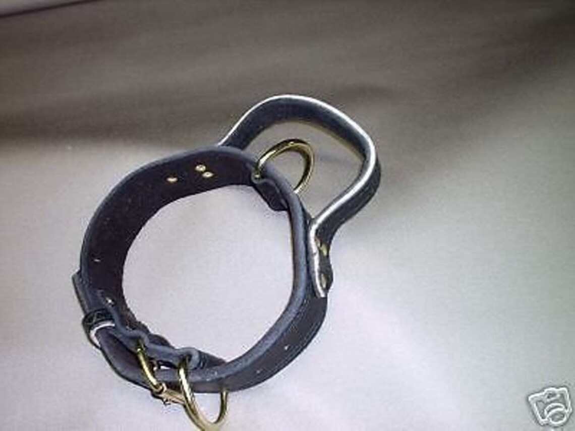 2 in Wide Dog Collar With Handle Police K9 Schutzhund Ipo | Etsy