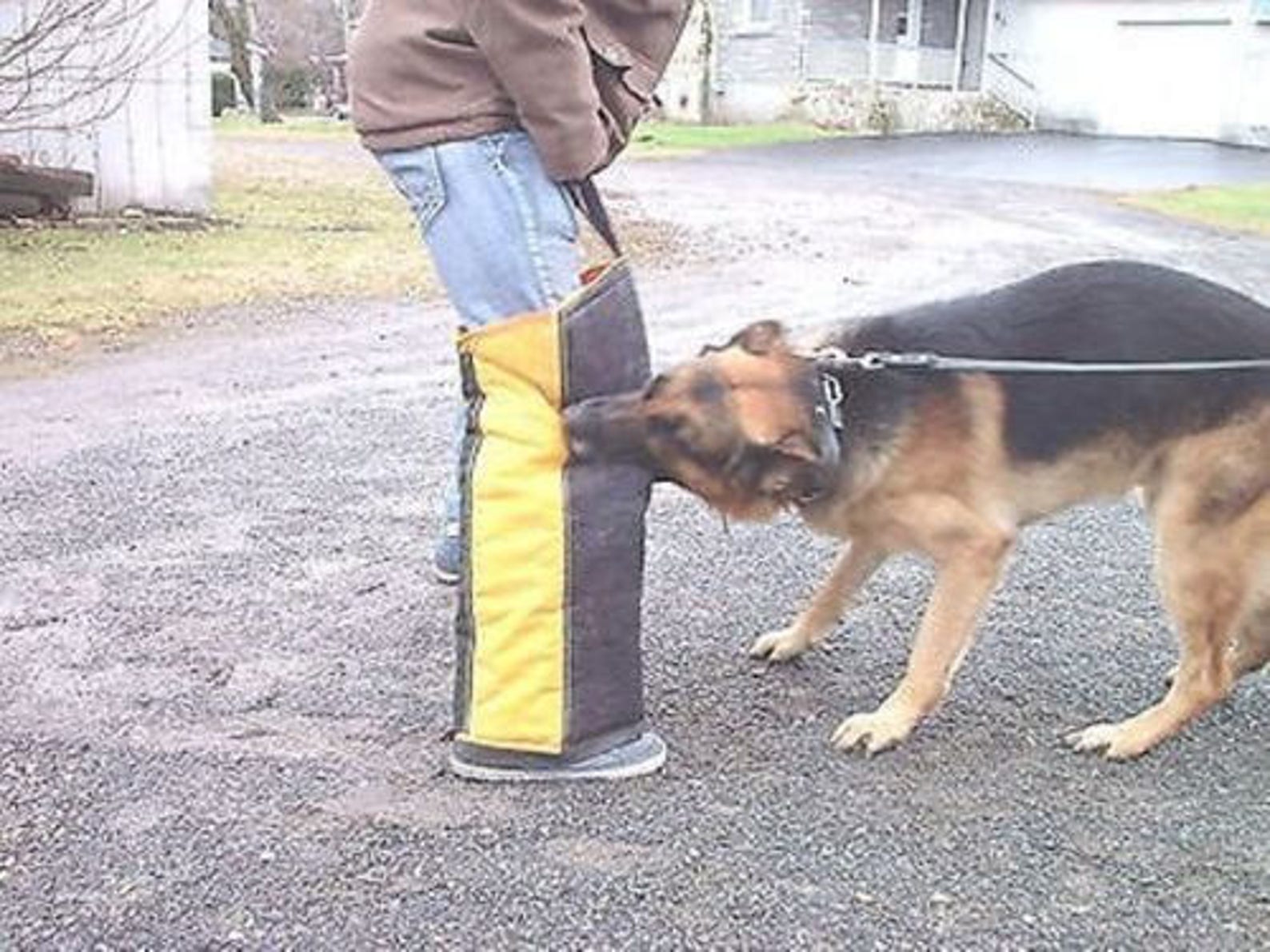 Dog Training Leg Sleeve Police K9 Schutzhund Ipo Bite Sleeve - Etsy