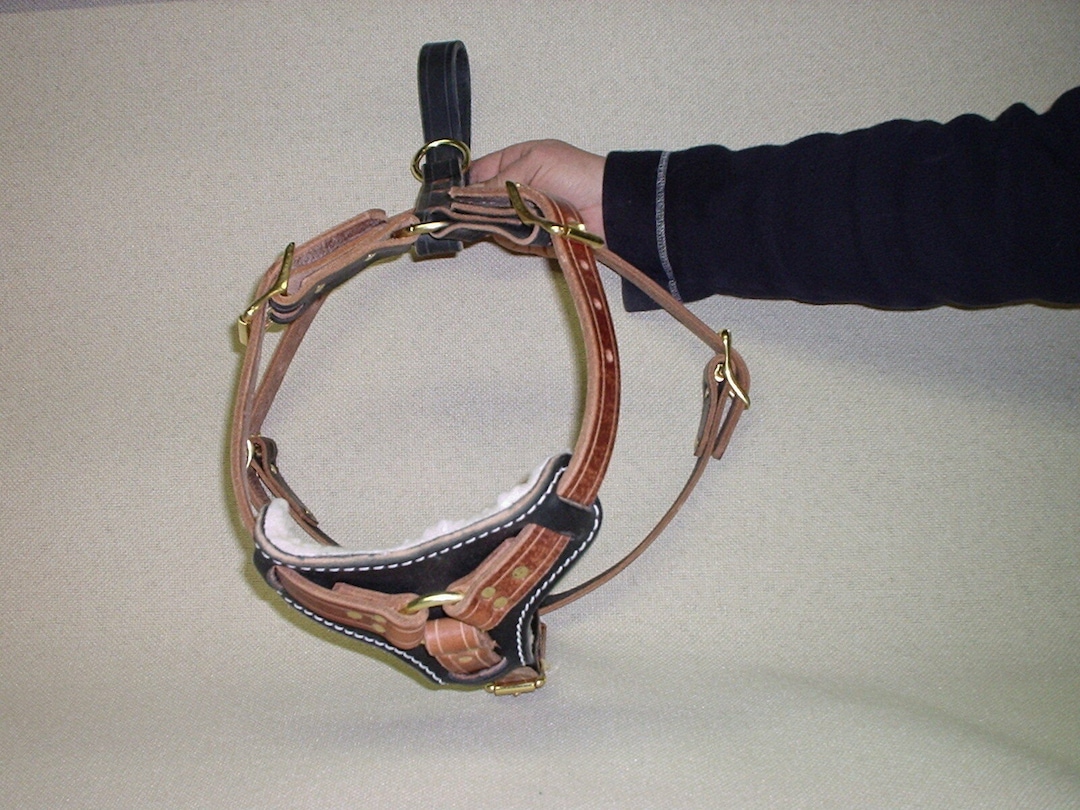 Leather Harness Police K-9 Schutzhund Ipo You Pick the Color - Etsy
