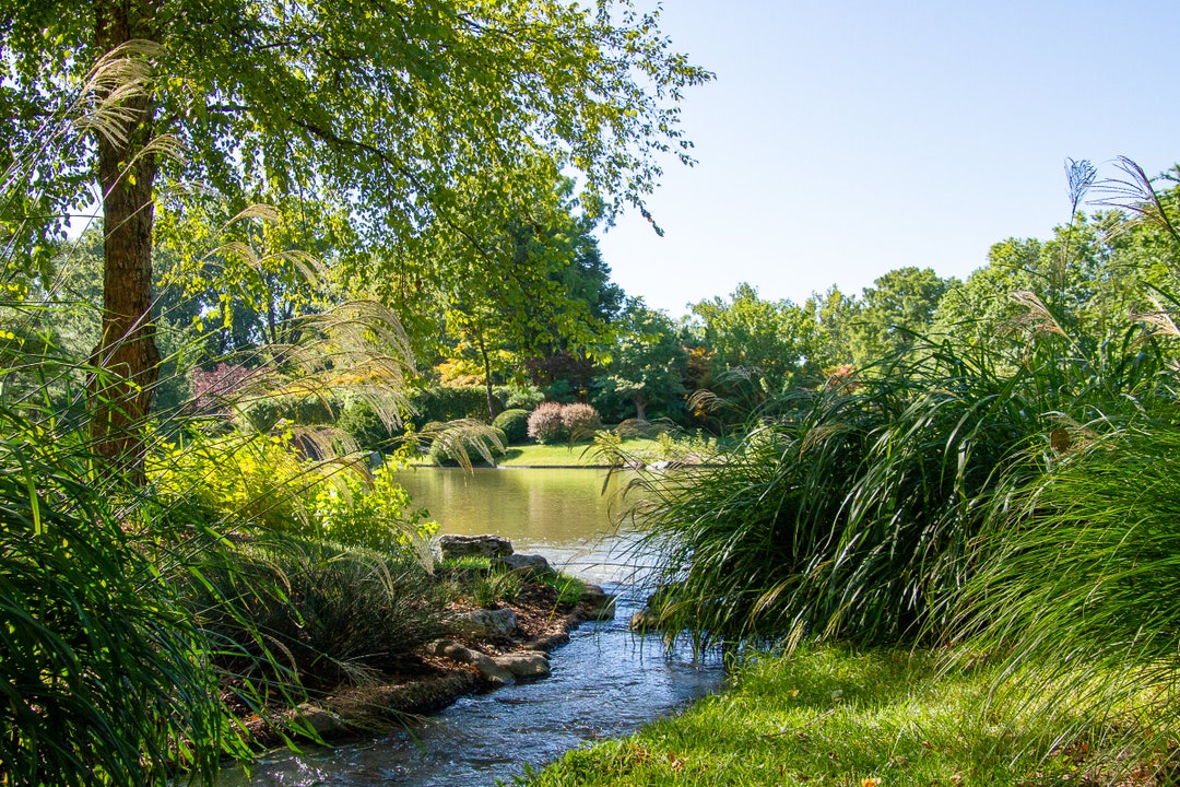 Beautiful Scenery Magnet - Etsy