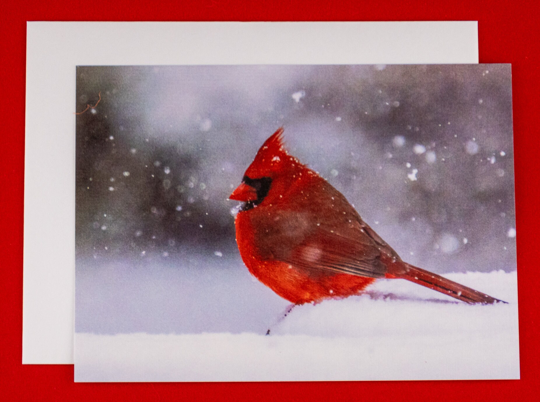 4x6 Cardinal Note Cards With Envelopes - Etsy