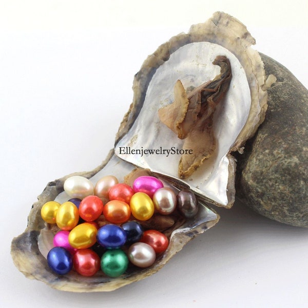 Akoya Oyster - Etsy