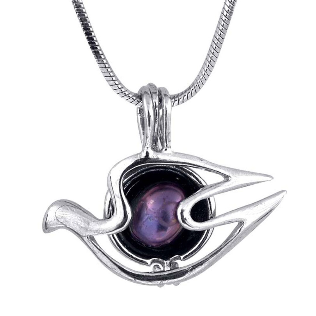 5pcs Fashion Hollow Silver Plated Cage Pendant, Pearl Cage Locket ...