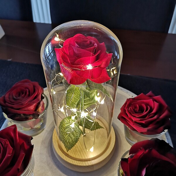 Rose in Glass Dome - Etsy