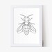 Bee One Line Drawing Bumble Bee Wall Print Abstract Insect - Etsy