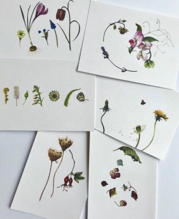 Illustration flowers Postcard A6 Pencil Colored Pencil etna.com.pe