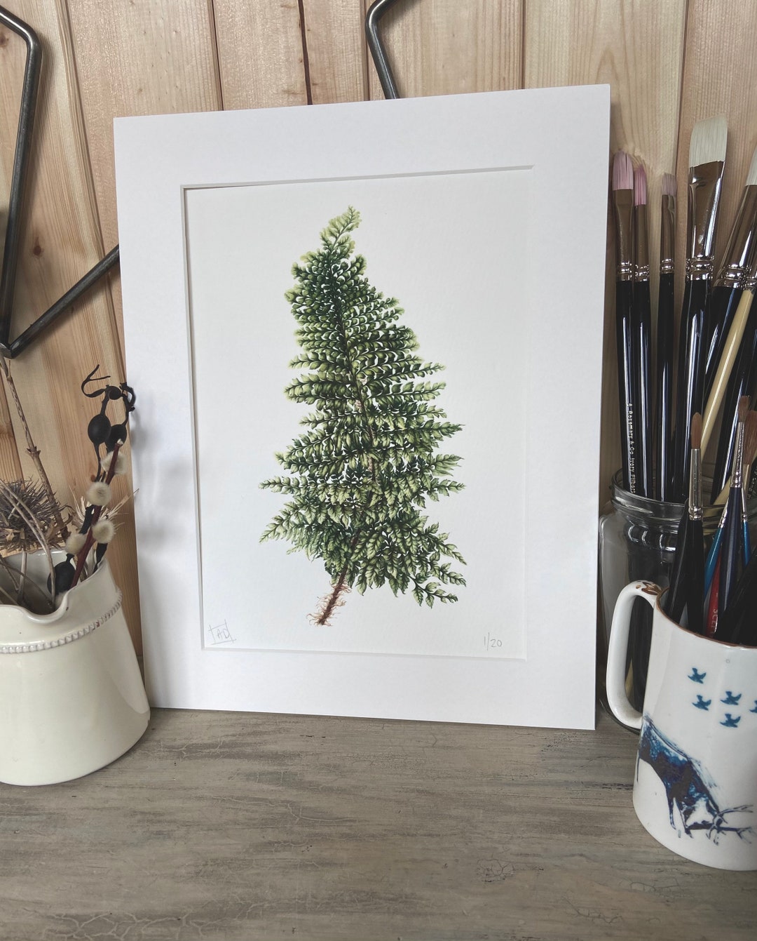 Signed and Limited Edition Print of a Fern. - Etsy