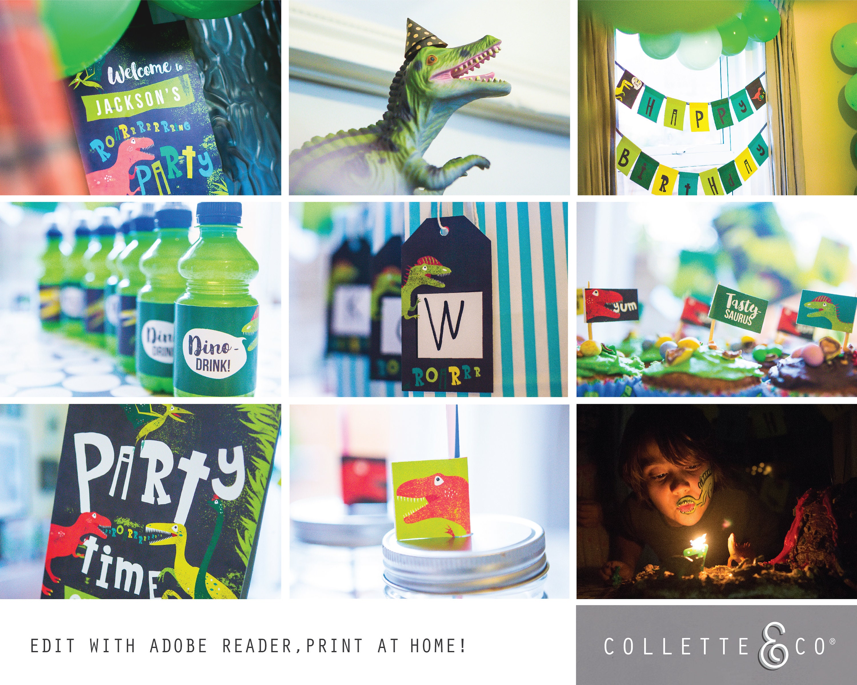 Printable Dinosaur Party Pack Dinosaur Party Printables - Etsy