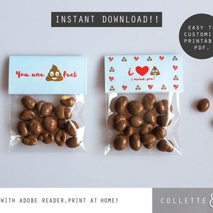 VALENTINES DAY Emoji Poop Favors Valentines Cupid Poo Sweetie Bags Who ...