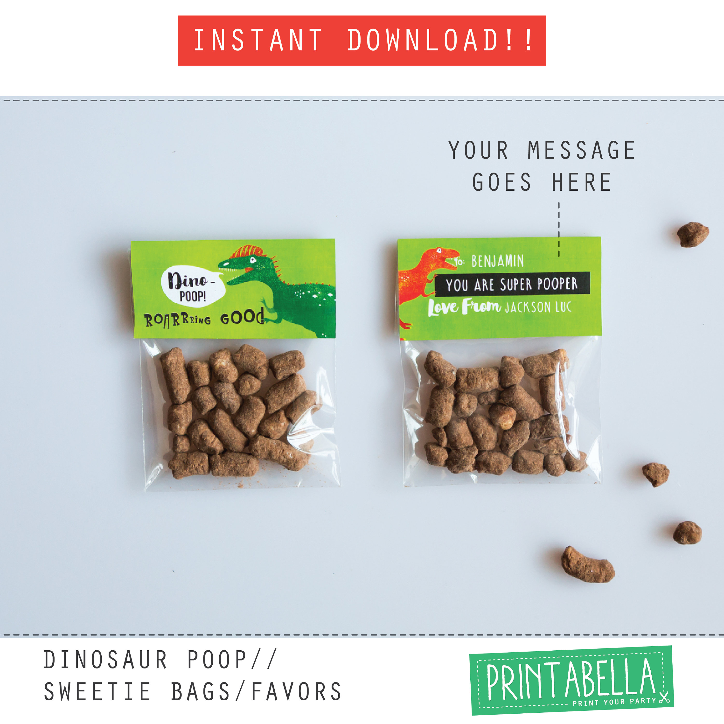 Dinosaur Poop Printables EDITABLE Dino Poop Party Favours Sweetie Bags ...