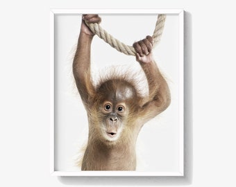 Monkey poster | Etsy