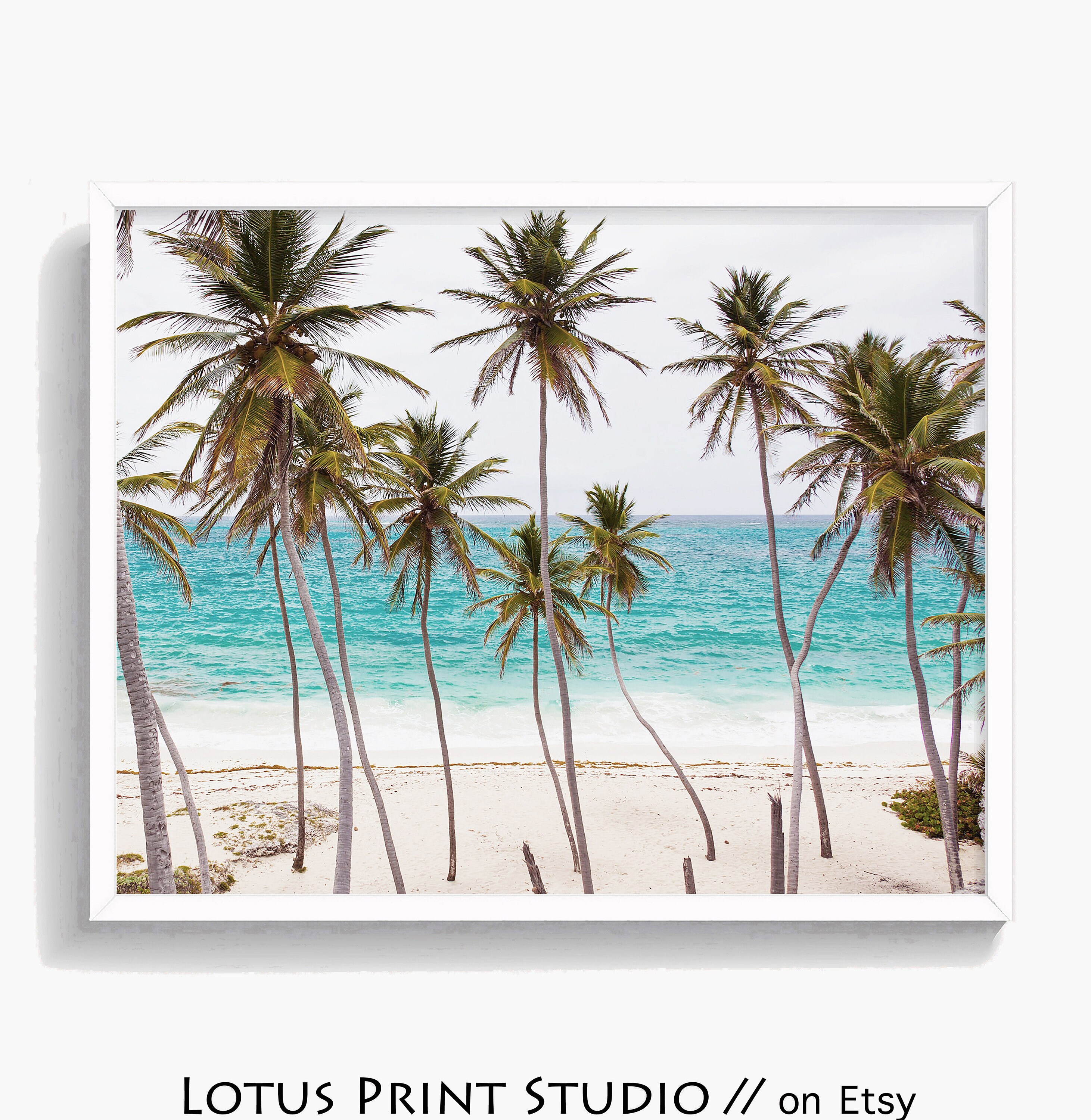 Sea Prints Best Beach Printable art Coconut Tree Downloadable Printable ...