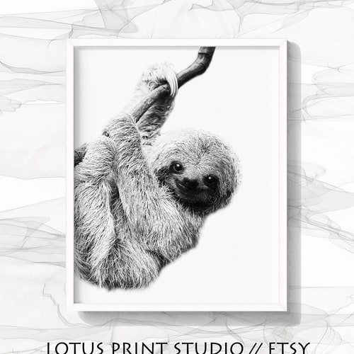 Sloth Printable Wall Art Black and White Animal Prints - Etsy