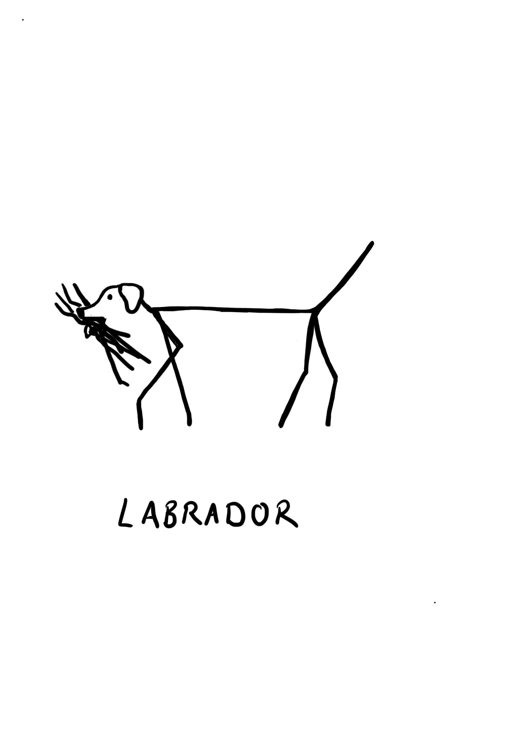 More Stick Dogs Zine - DIGITAL DOWNLOAD - Etsy