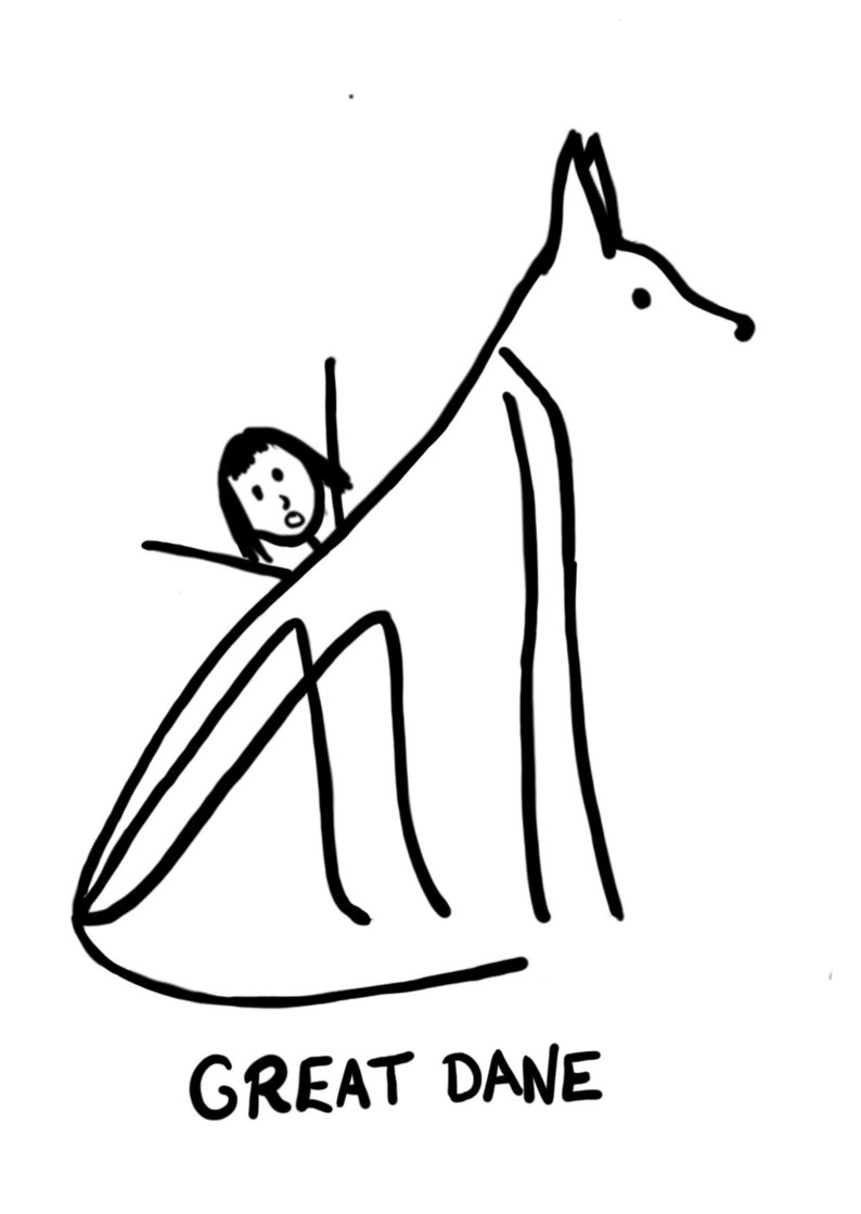 Stick Dogs and More Stick Dogs: two zine set | Etsy