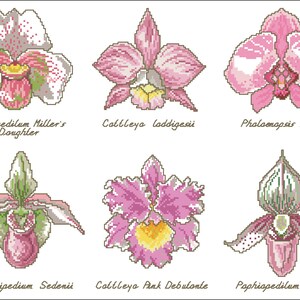 Cross Stitch Pattern Orchid Sampler, Floral Cross Stitch, Nature ...