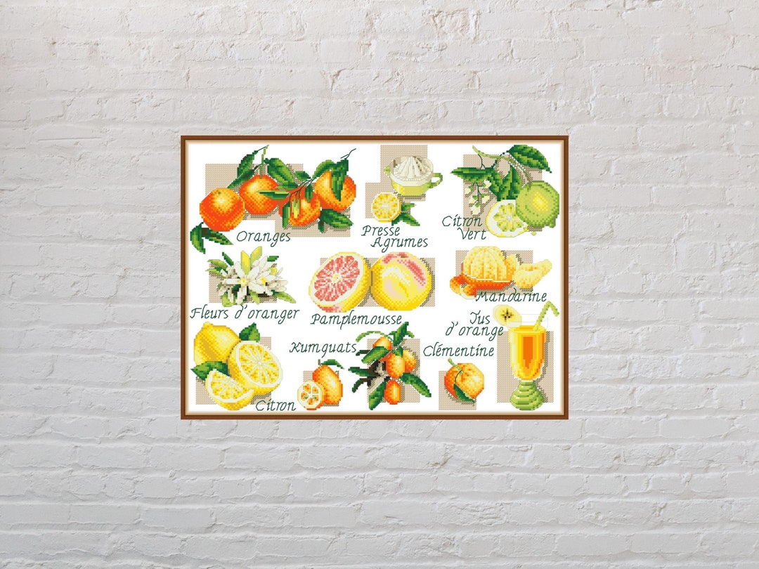 Cross Stitch Pattern Citrus Sampler, Fruit Cross Stitch, Nature Embroidery, Vintage Cross Stitch ...