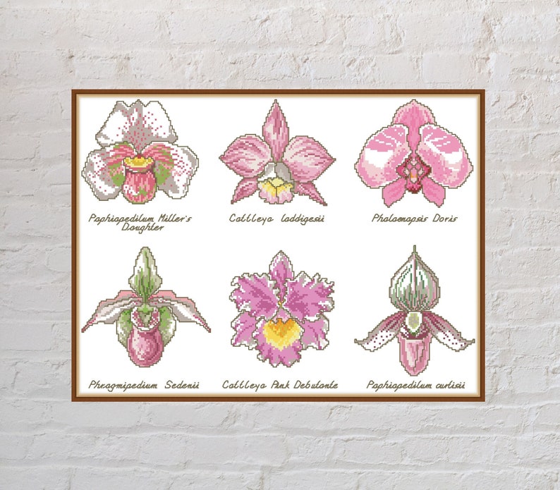 Cross Stitch Pattern Orchid Sampler Floral Cross Stitch - Etsy