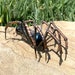 Metal Spider Figurine, Art Metal Sculpture Steampunk Spider, Spider ...