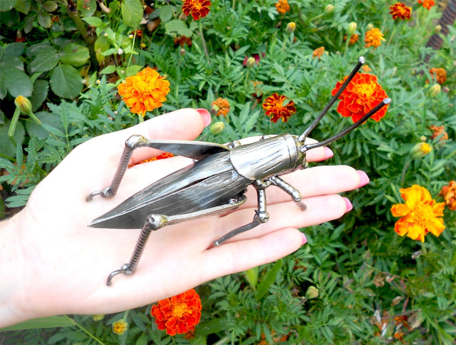 Metal Sculpture Grasshopper. Insect Figurine, Welded Insect. Welded ...