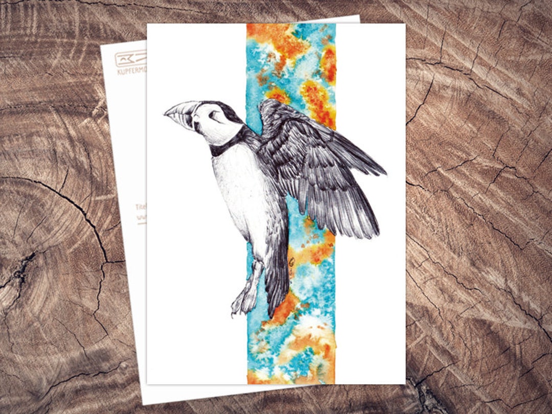 Puffin Postcard Illustration Watercolor and Ballpoint Pen - Etsy