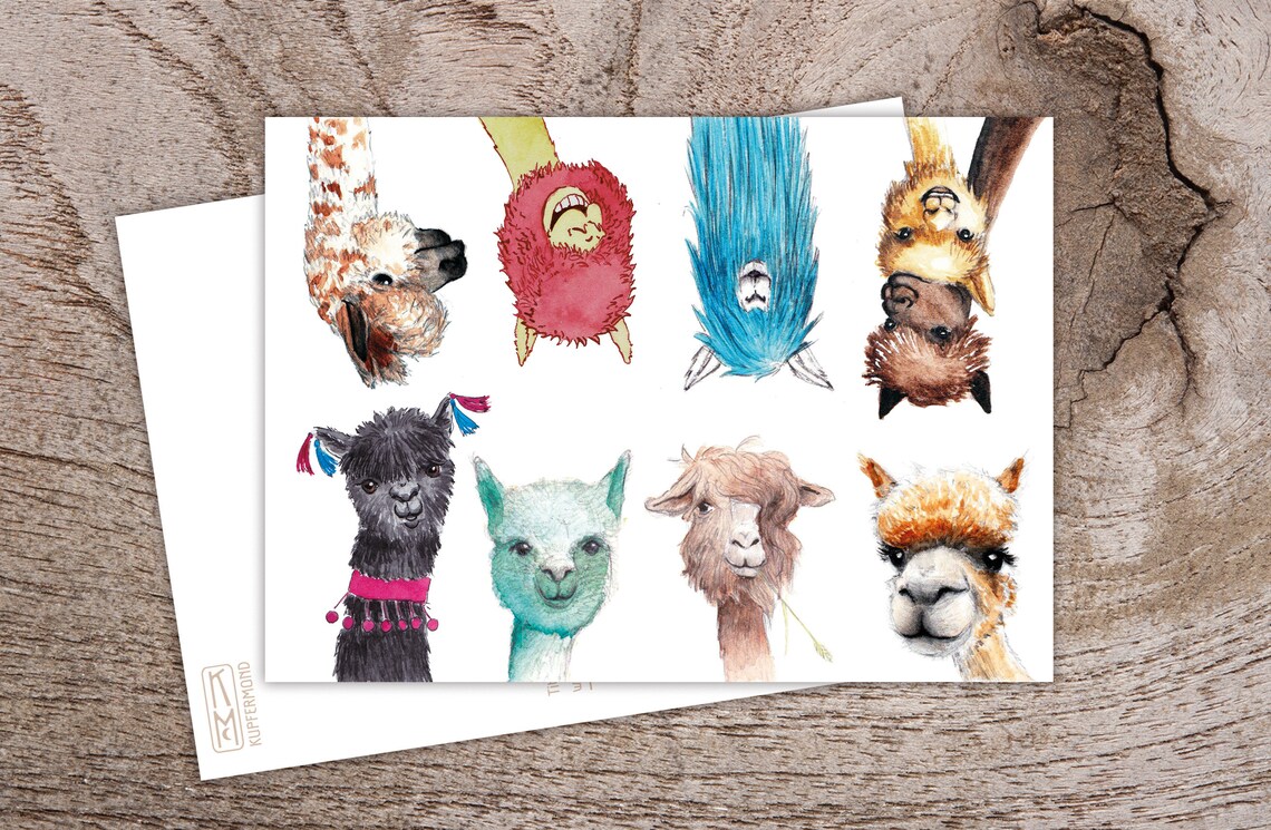 Team Alpaca Postcard Illustration A6 - Etsy
