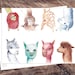 Team Alpaca Postcard Illustration A6 | Etsy