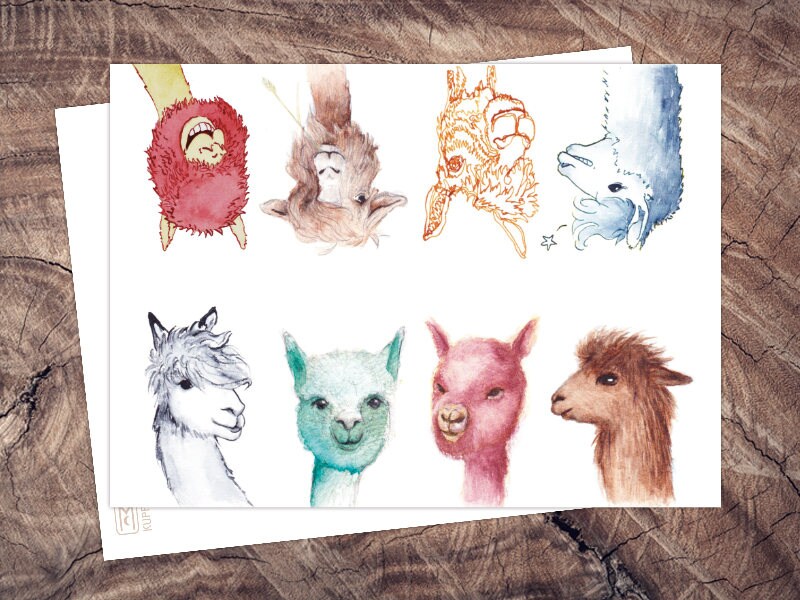 Team Alpaca Postcard Illustration A6 | Etsy
