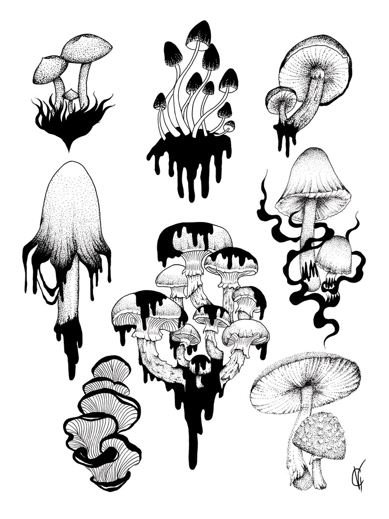 Psychedelic Mushroom Art Print Ink Tattoo Flash Illustration Etsy Psychedelic Mushroom Art Print Ink Tattoo Flash Illustration Etsy