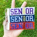 Senior Keychain, Class of 2024 Keychain, High School Senior Key Fob ...