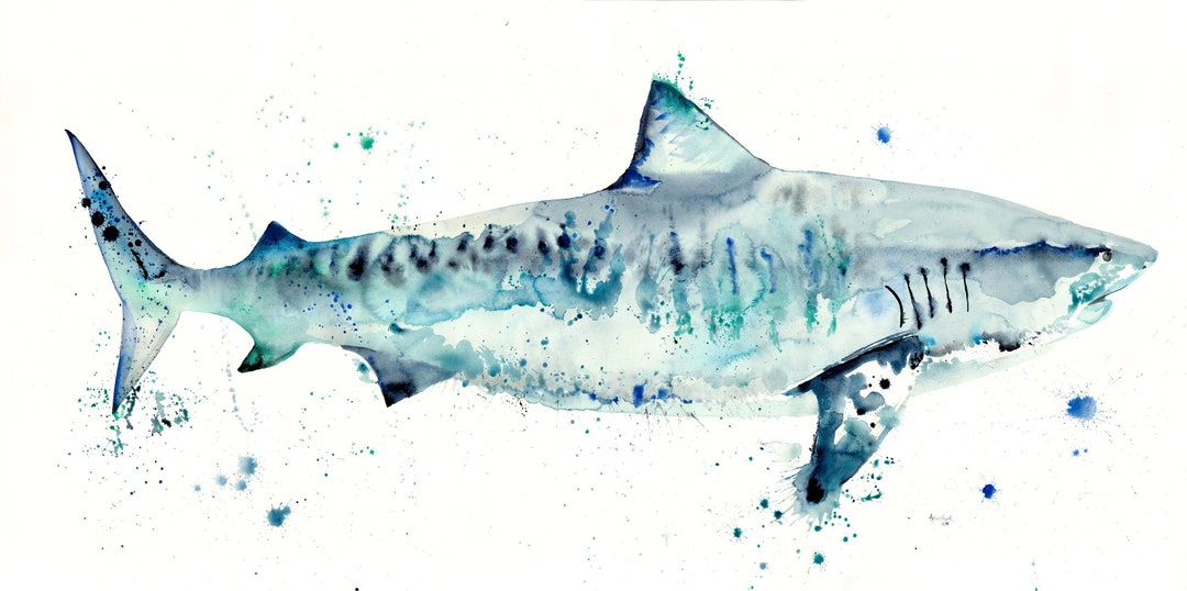 Tiger Shark Abstract (signed Limited Edition) Watercolor Print - Etsy
