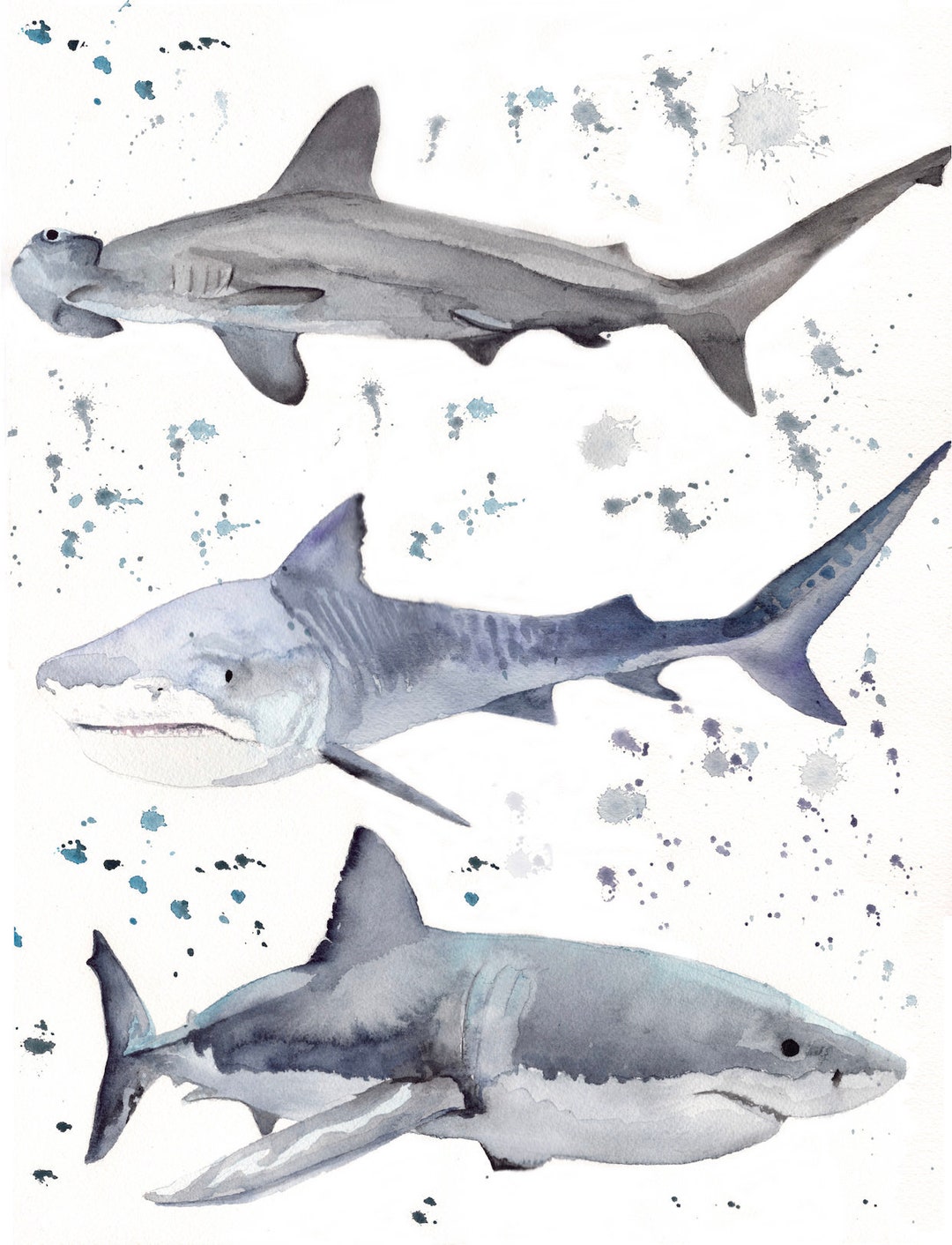 The Big Three Shark Giclee - Etsy