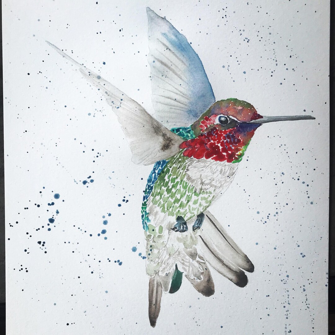 Colorful Hummingbird Watercolor Print - Etsy