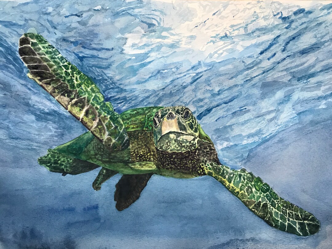 Green Sea Turtle Watercolor Print - Etsy