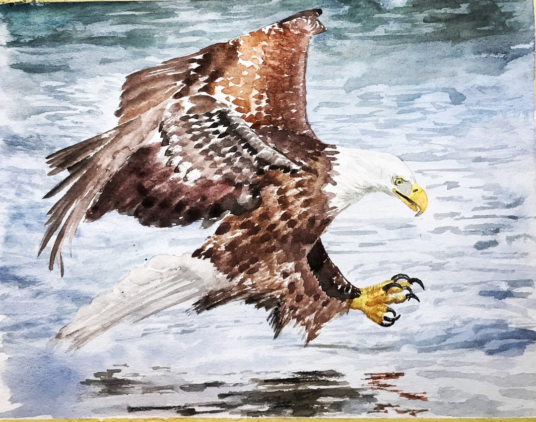 Bald Eagle Watercolor Print - Etsy