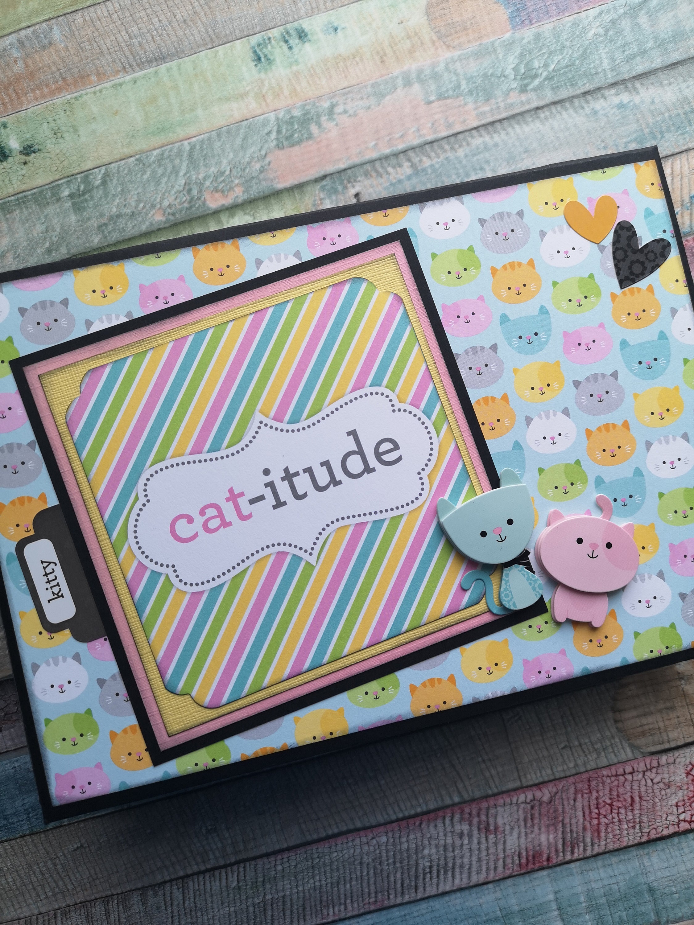 Smitten Kitten Photo Album / Furbaby / Pet Memories / Pet Photos ...