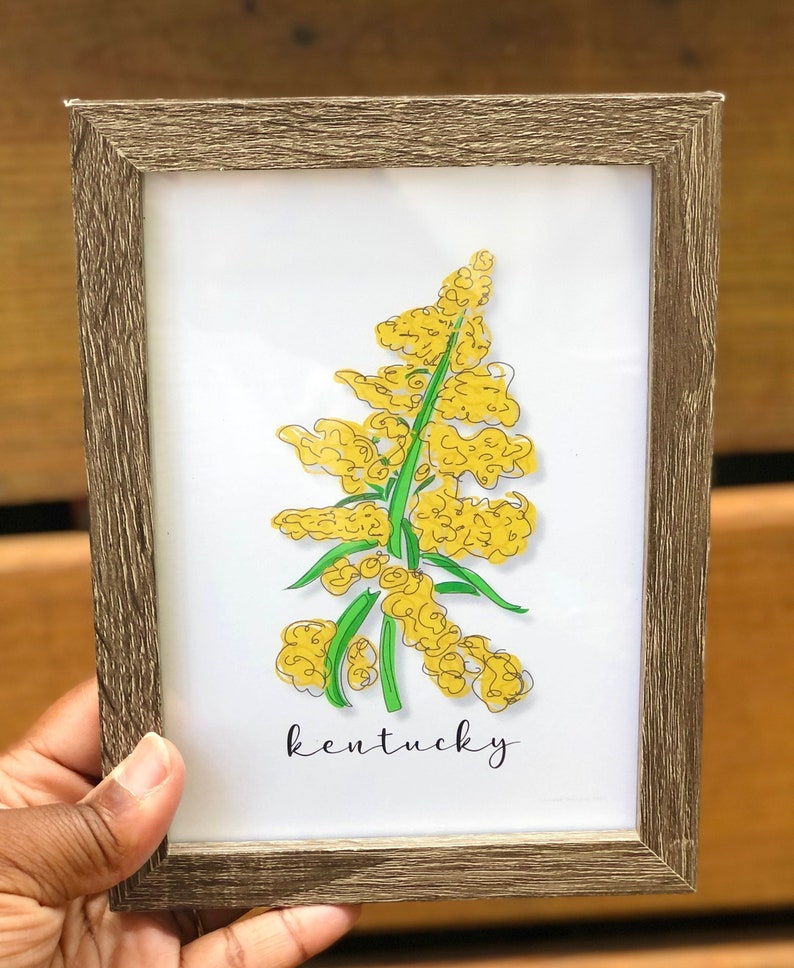 Kentucky State Flower | Hand-drawn Goldenrod | 5x7 Print - Etsy