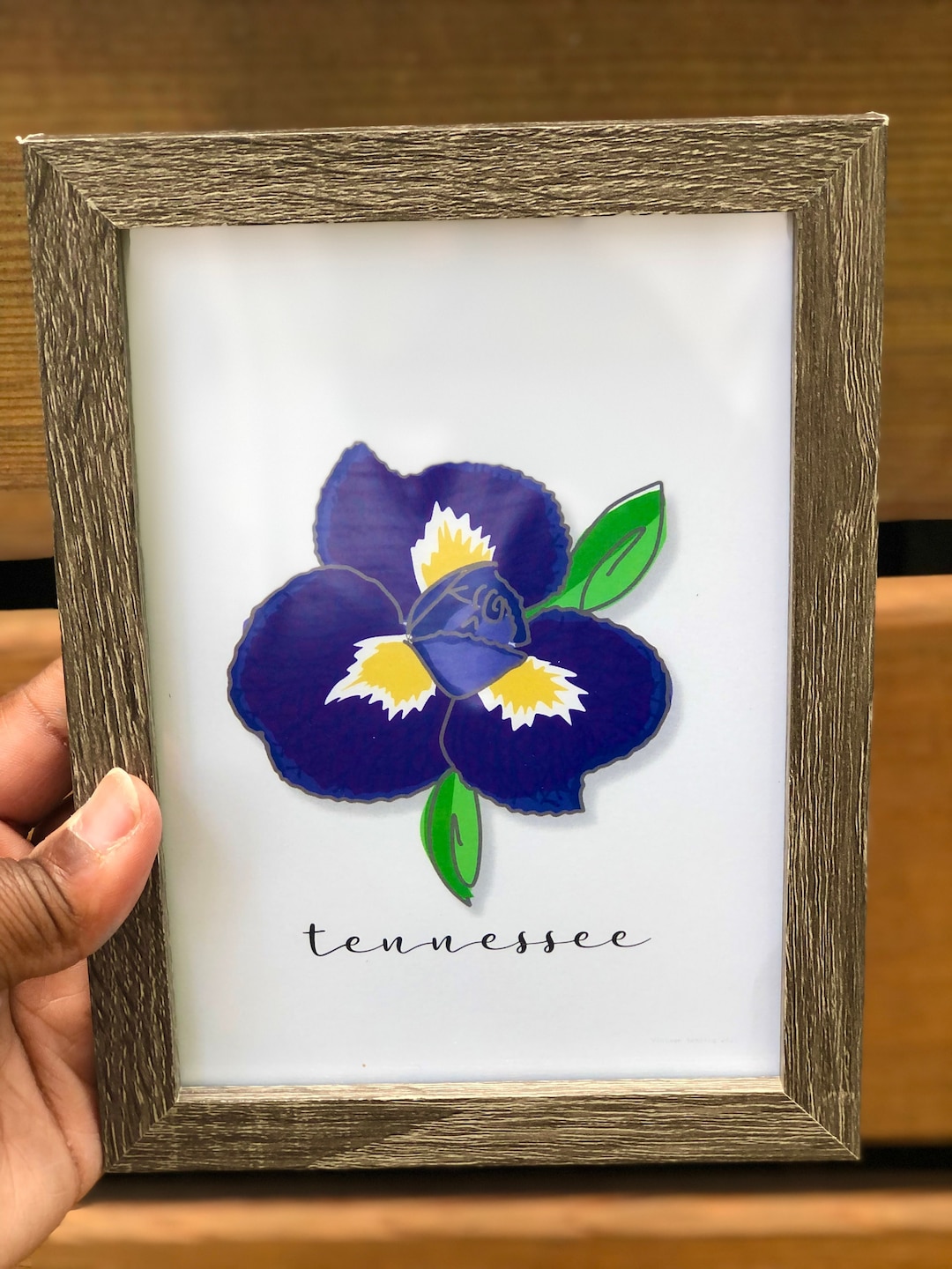 Tennessee State Flower | Hand-drawn Iris | 5x7 Print - Etsy