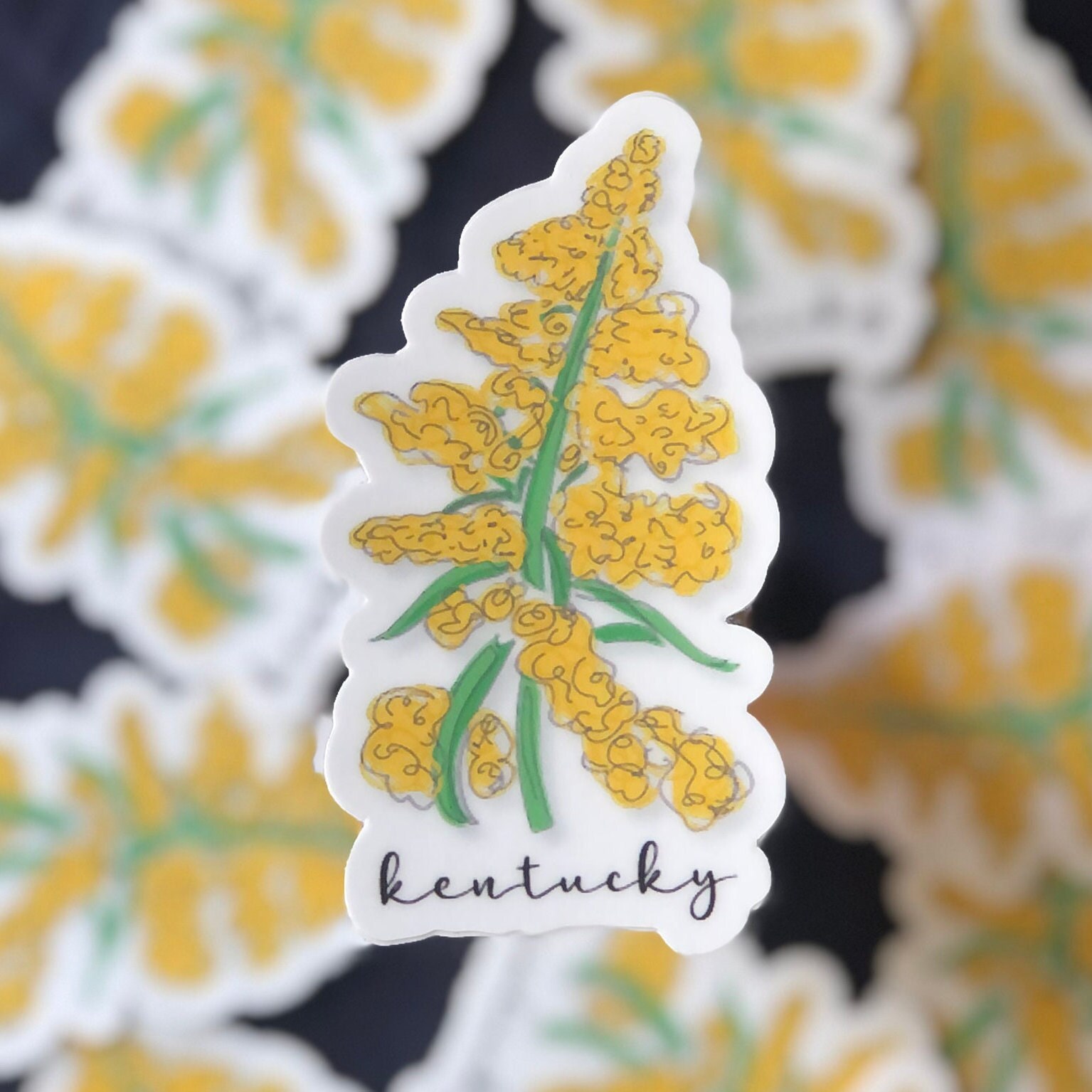 Kentucky State Flower Sticker | Laptop Sticker | Hydroflask Sticker - Etsy