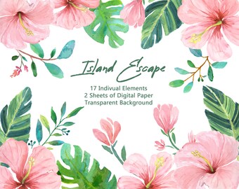 Tropical Island Frames and Wreaths Set 10 Floral Frames and | Etsy