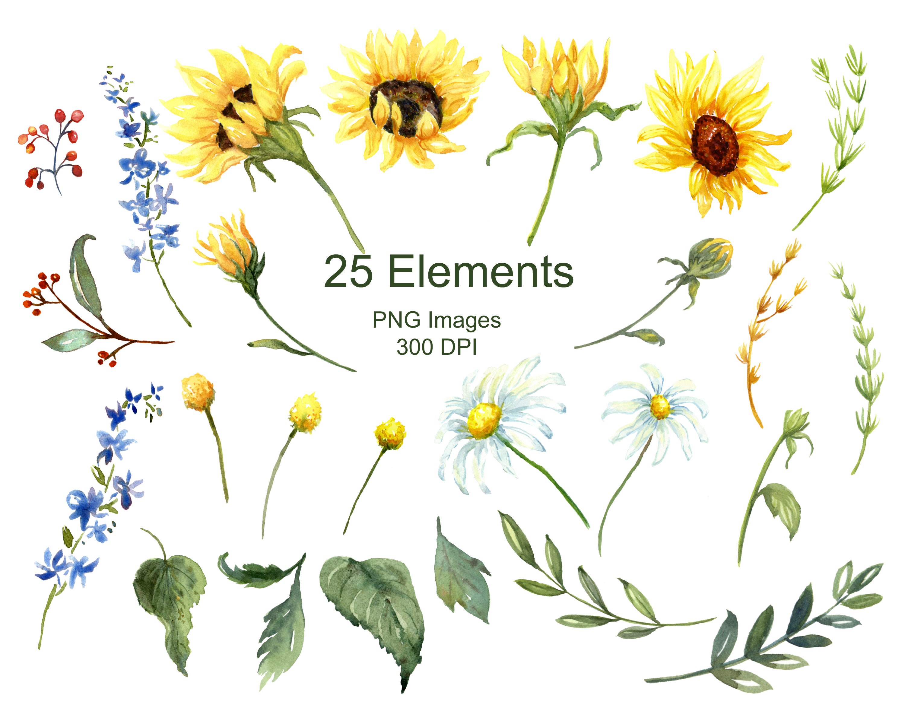 Sunflower Watercolor Clip Art 25 Individual Elements - Etsy