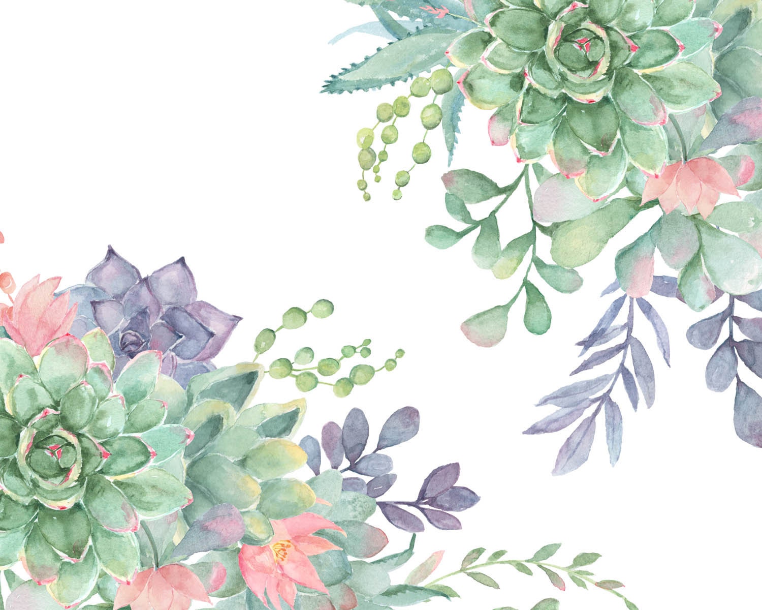 Watercolor Succulents Succulent Wreath Succulents Borders - Etsy