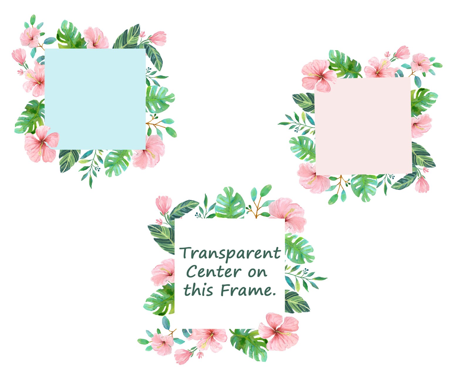 Tropical Island Frames and Wreaths Set 10 Floral Frames and - Etsy