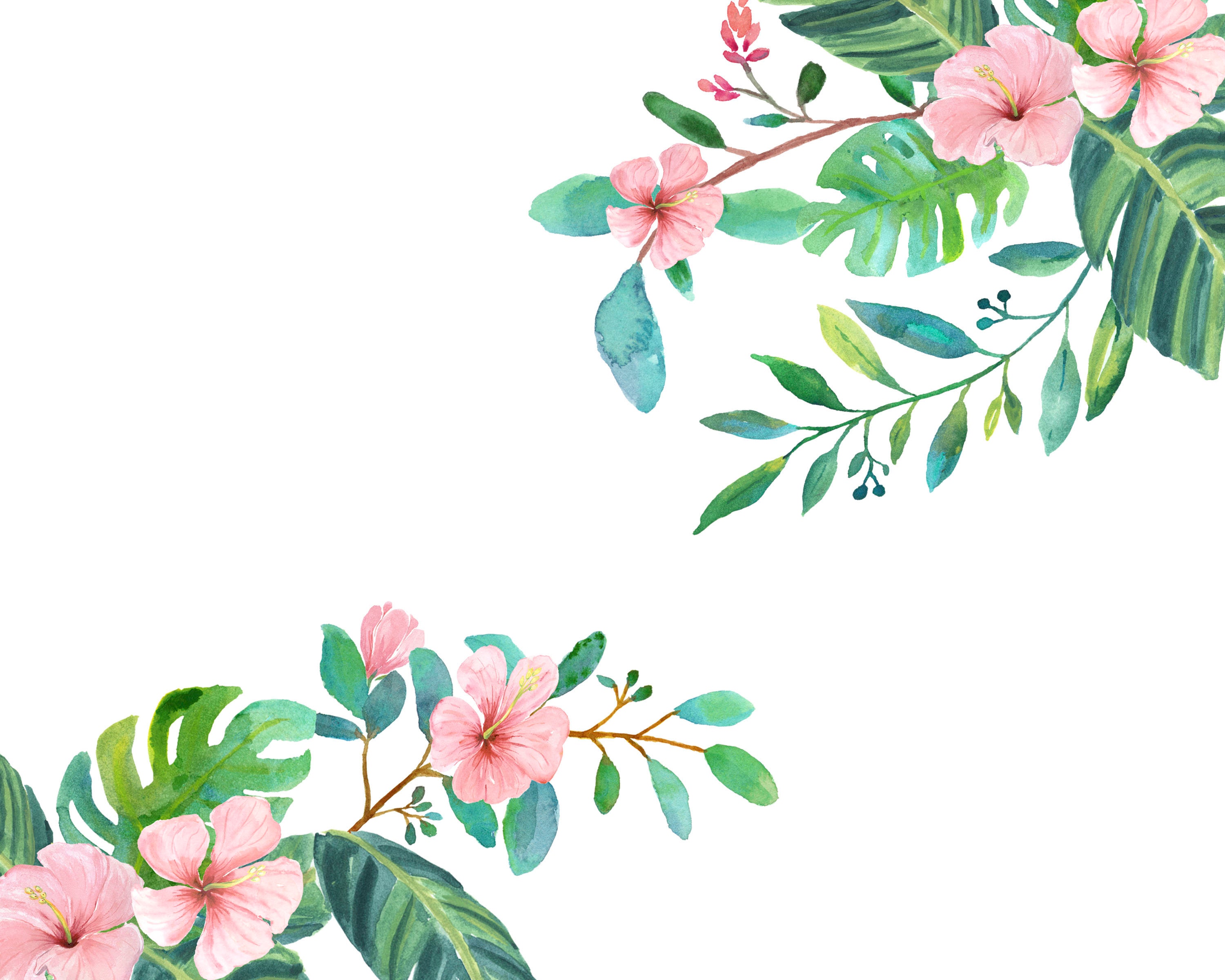 Tropical Island Flowers and Greenery, 8 Composed Designs for Tropical ...