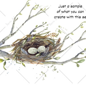 Spring Watercolor Clipart Set: Birds Eggs, Nest, Spring Wreath ...