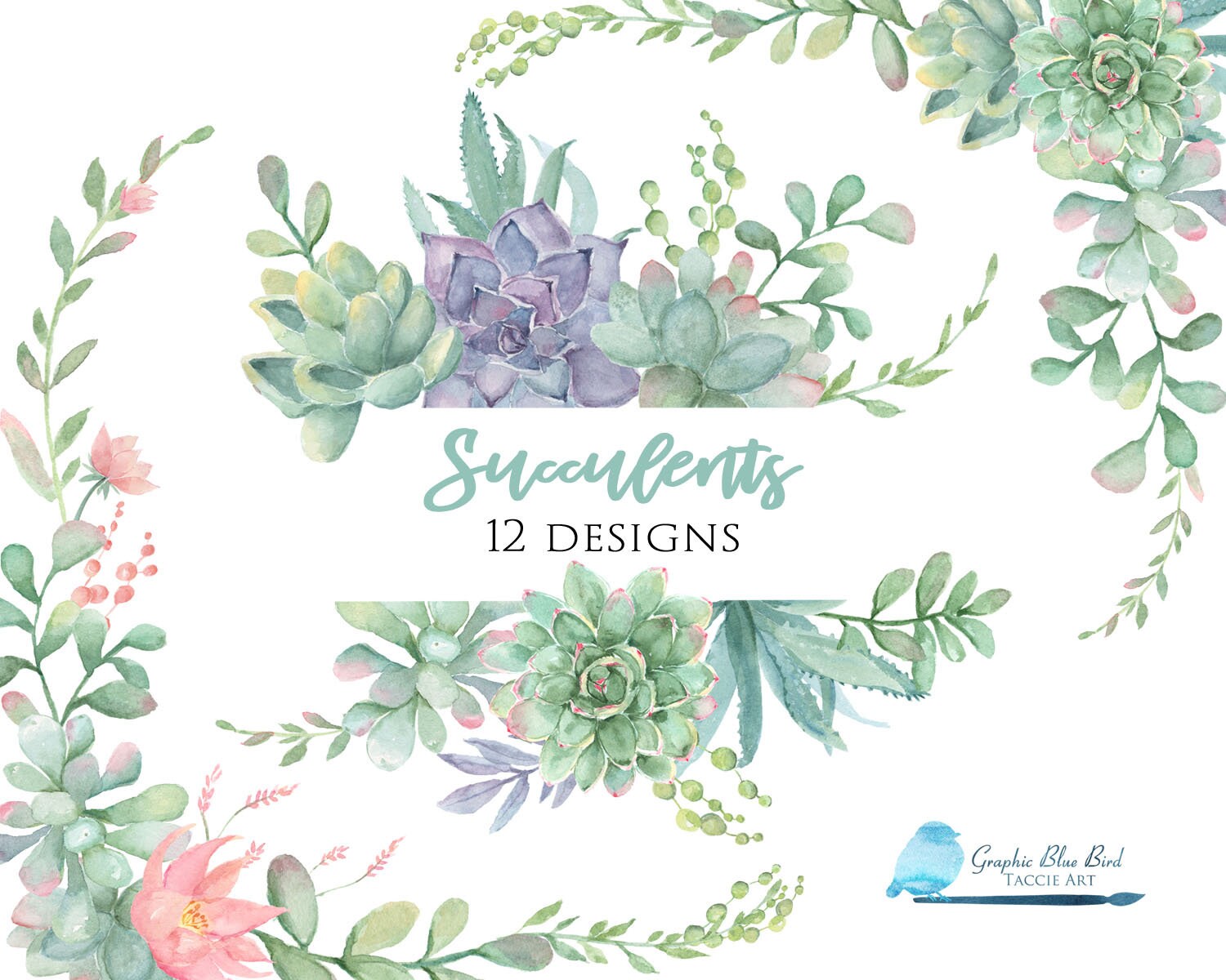 Watercolor Succulents Succulent Wreath Succulents Borders - Etsy
