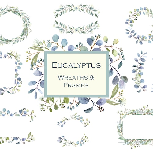 Eucalyptus Frames and Wreaths Greenery Wreath Clipart - Etsy