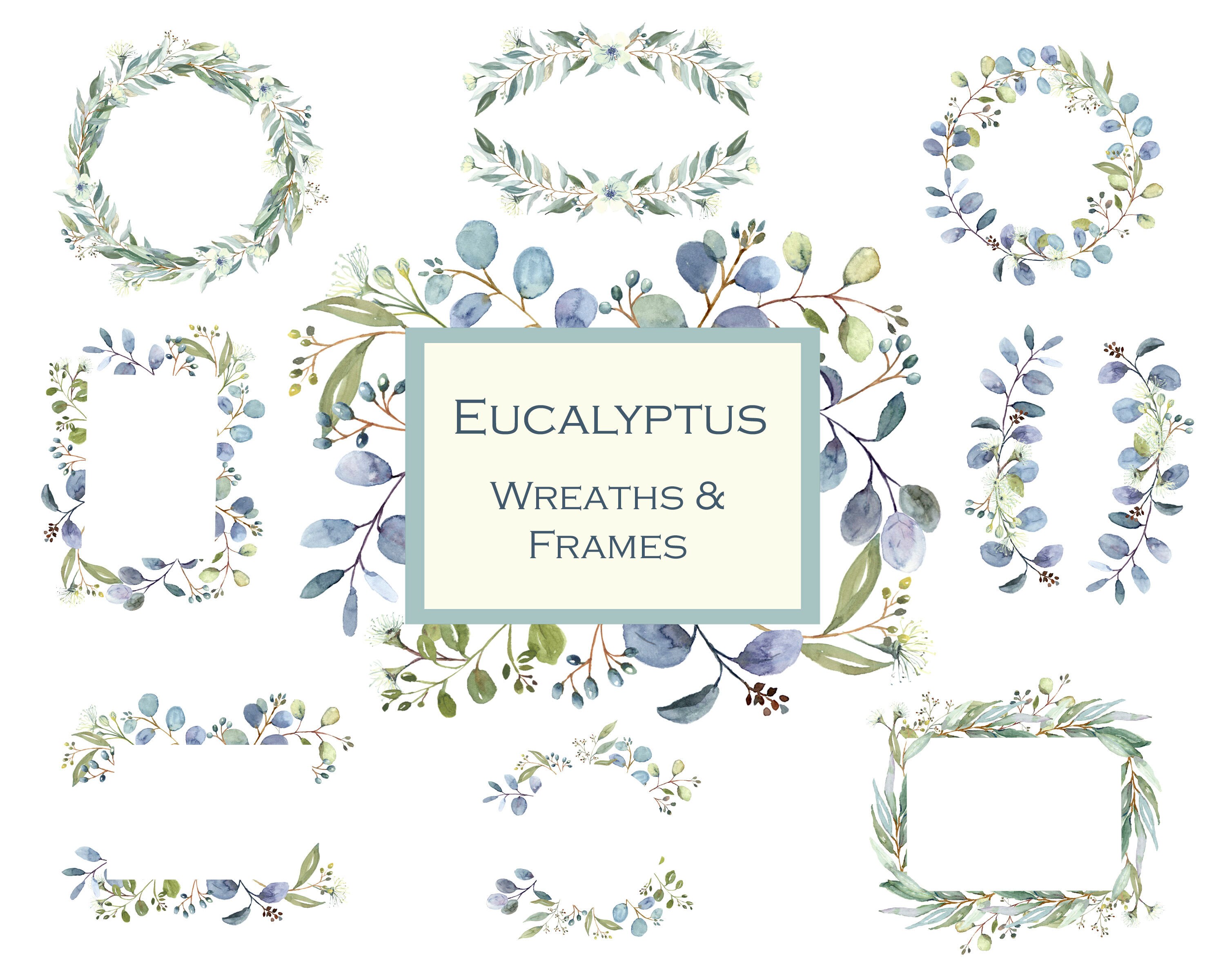 Eucalyptus Frames and Wreaths Greenery Wreath Clipart | Etsy