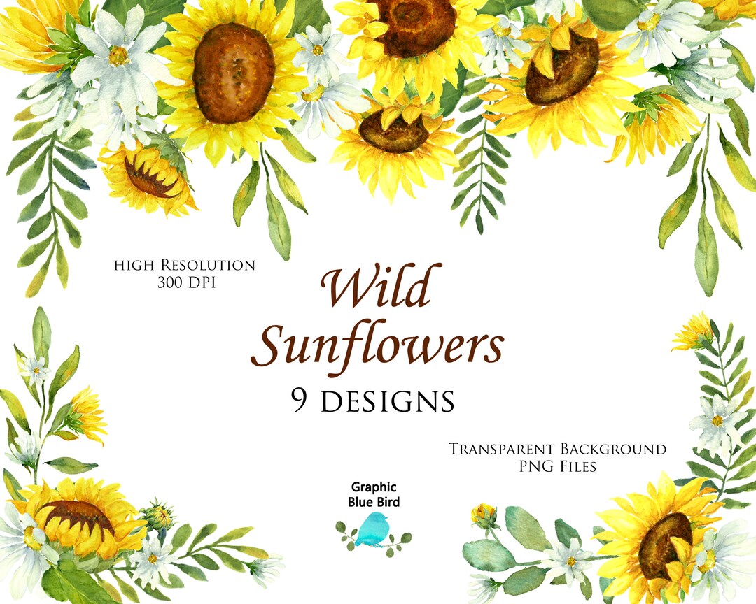Wild Sunflower Designs Set Includes Nine Watercolor Sunflowers and ...