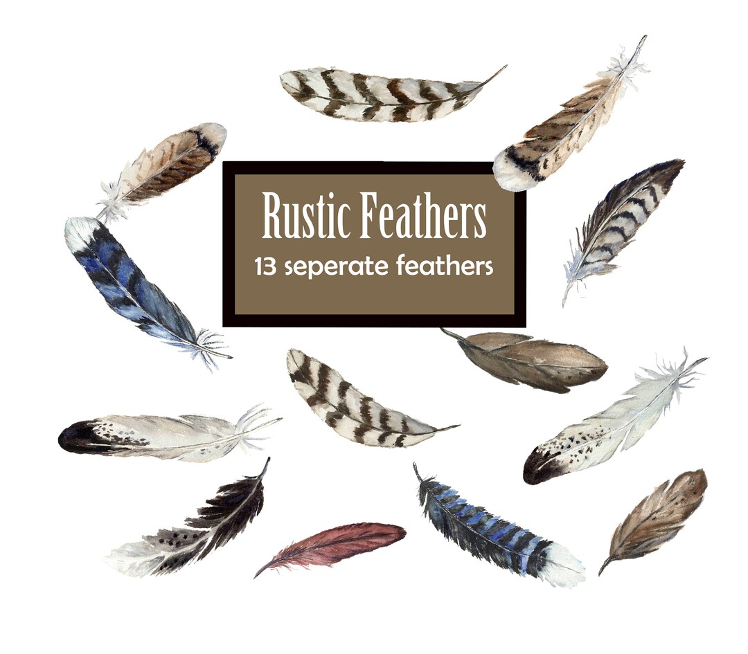 Rustic Feathers Collection of Hand-painted Natural Feathers, Watercolor ...
